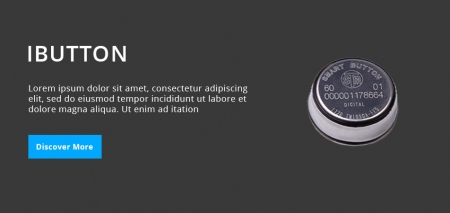ibutton | Smart-Way